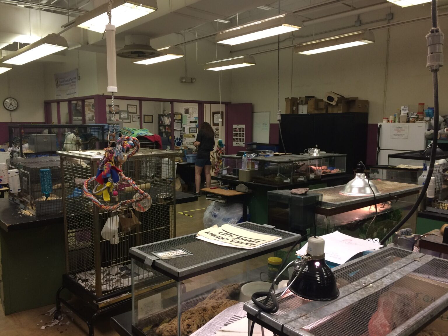 Grace Hopper Center (New Arlington Career Center) Project - Arlington ...