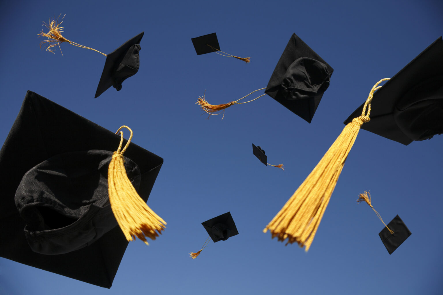 Class of 2026 Graduation - Arlington Public Schools